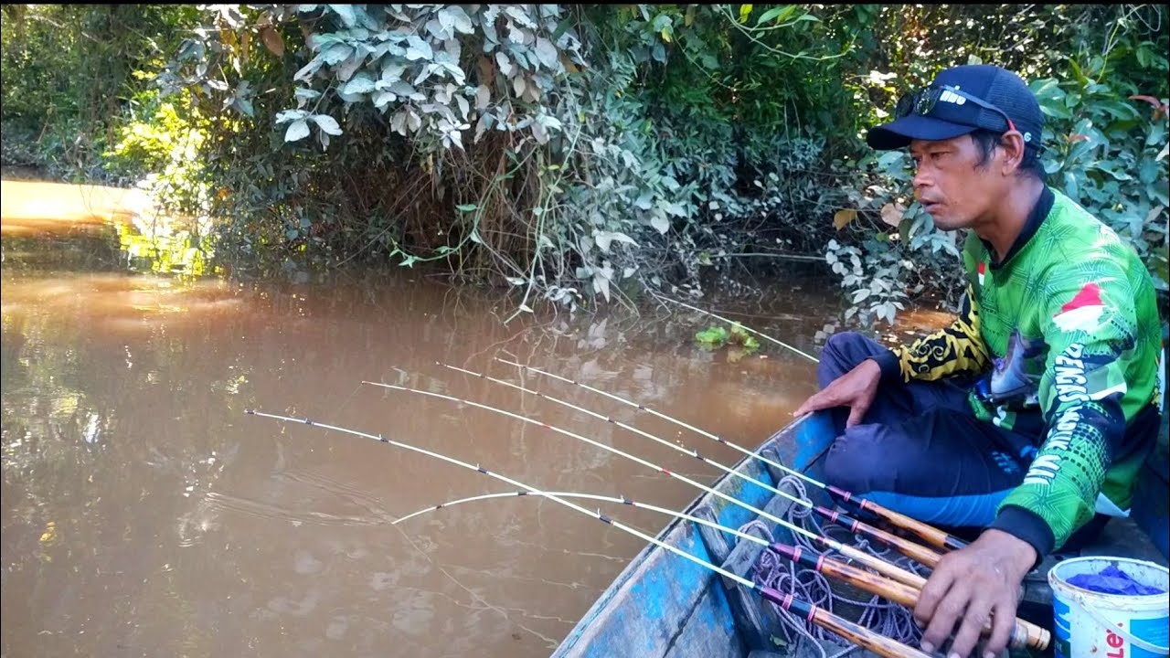 Mancing Udang Galah 3 Kali Berubah Air Nya Dalam 1 Hari Asin Payau ...