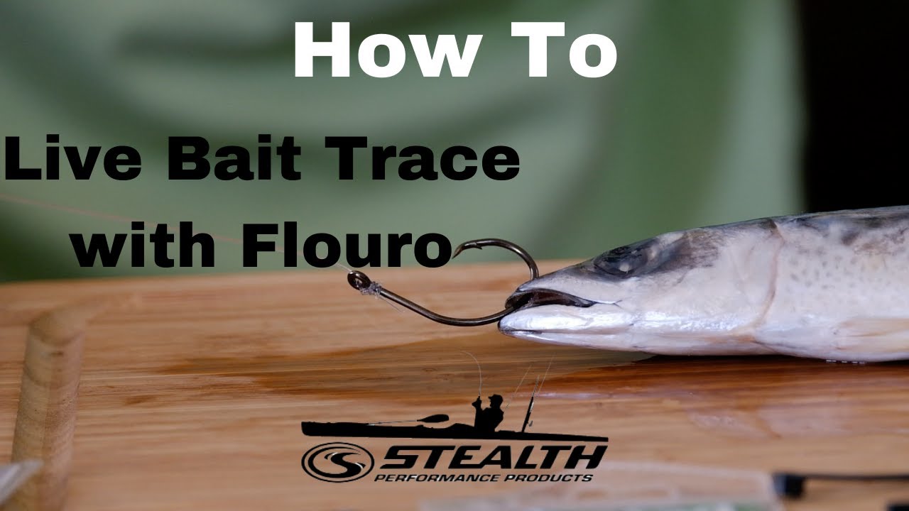 How to tie a Live Bait Trace with Fluorocarbon - YouTube