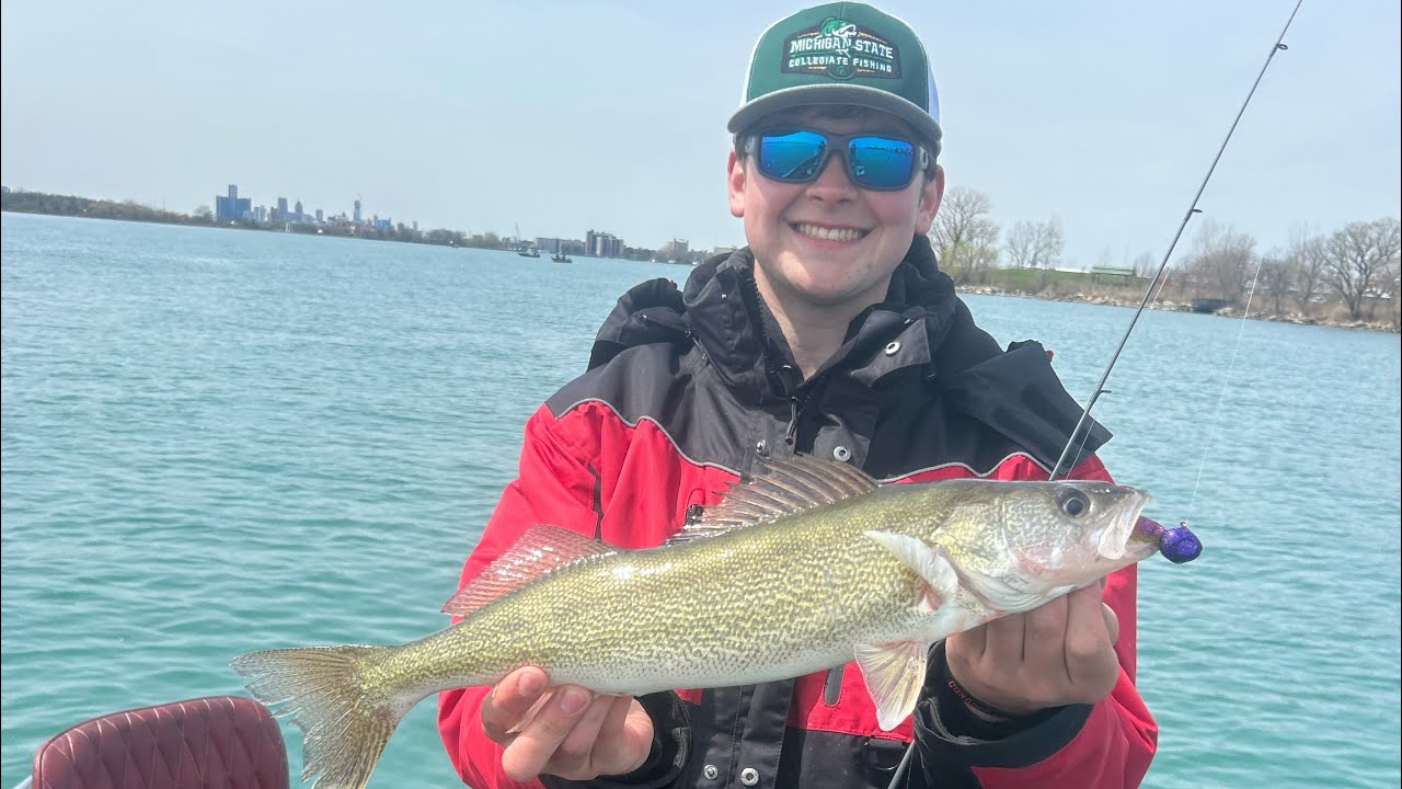 Detroit River Walleyes ON FIRE! (40+ fish in 3 hours) - YouTube