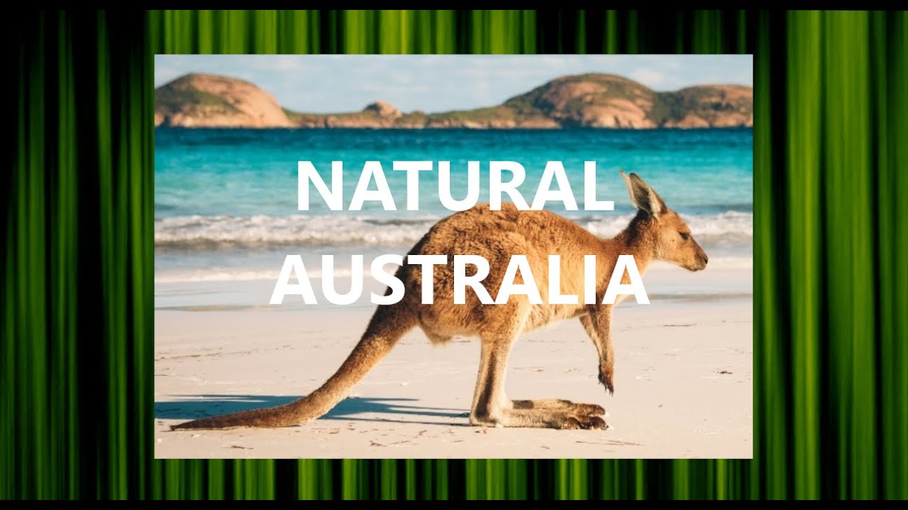 Natural Australia - 2 - Series - YouTube