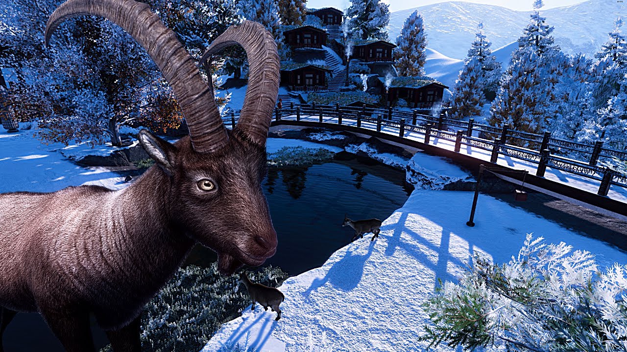 Alpine ibex Habitat on the mountains | Planet zoo Speedbuild - YouTube