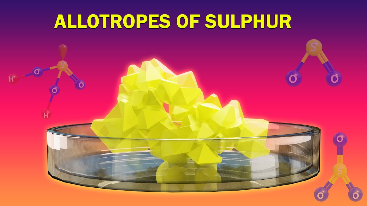 Allotropes & Reactions of Sulphur | P Block Elements | Chemistry Telugu ...