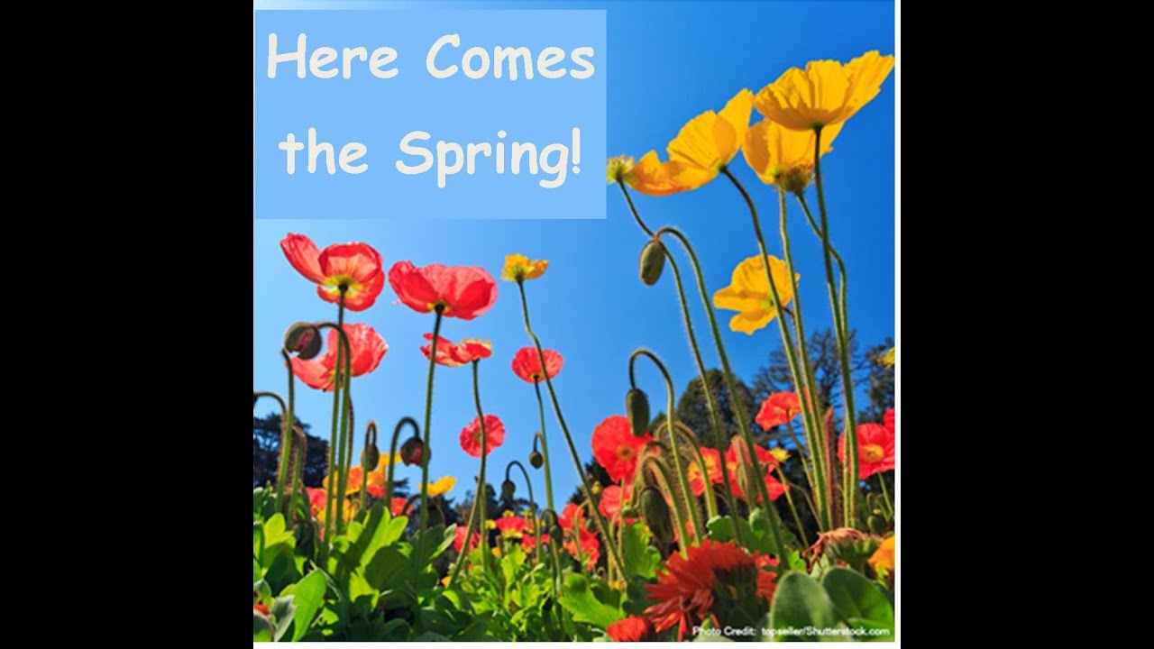 'Here comes the Spring' piano soiree - YouTube