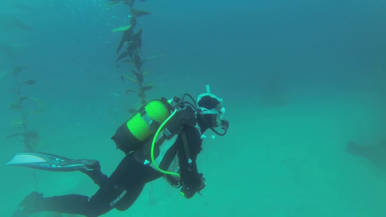 Lanzarote Diving - YouTube