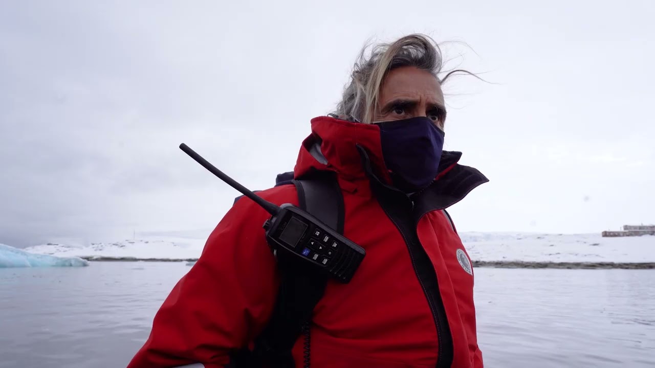 Exploring Antarctica on Aurora Expeditions Greg Mortimer - YouTube