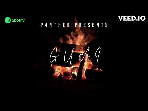 GUAI - P4NTHER (Visual Video)
