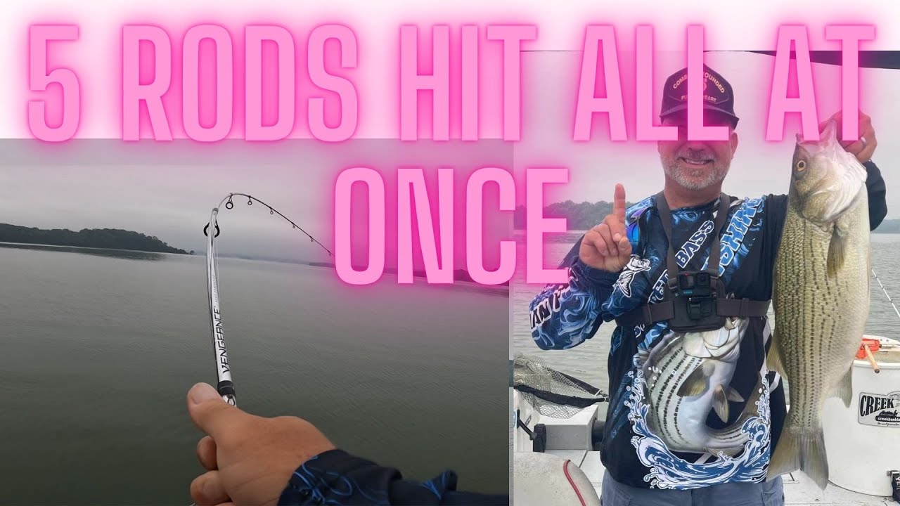 5 rods all at once, Percy Priest Hybrids - YouTube