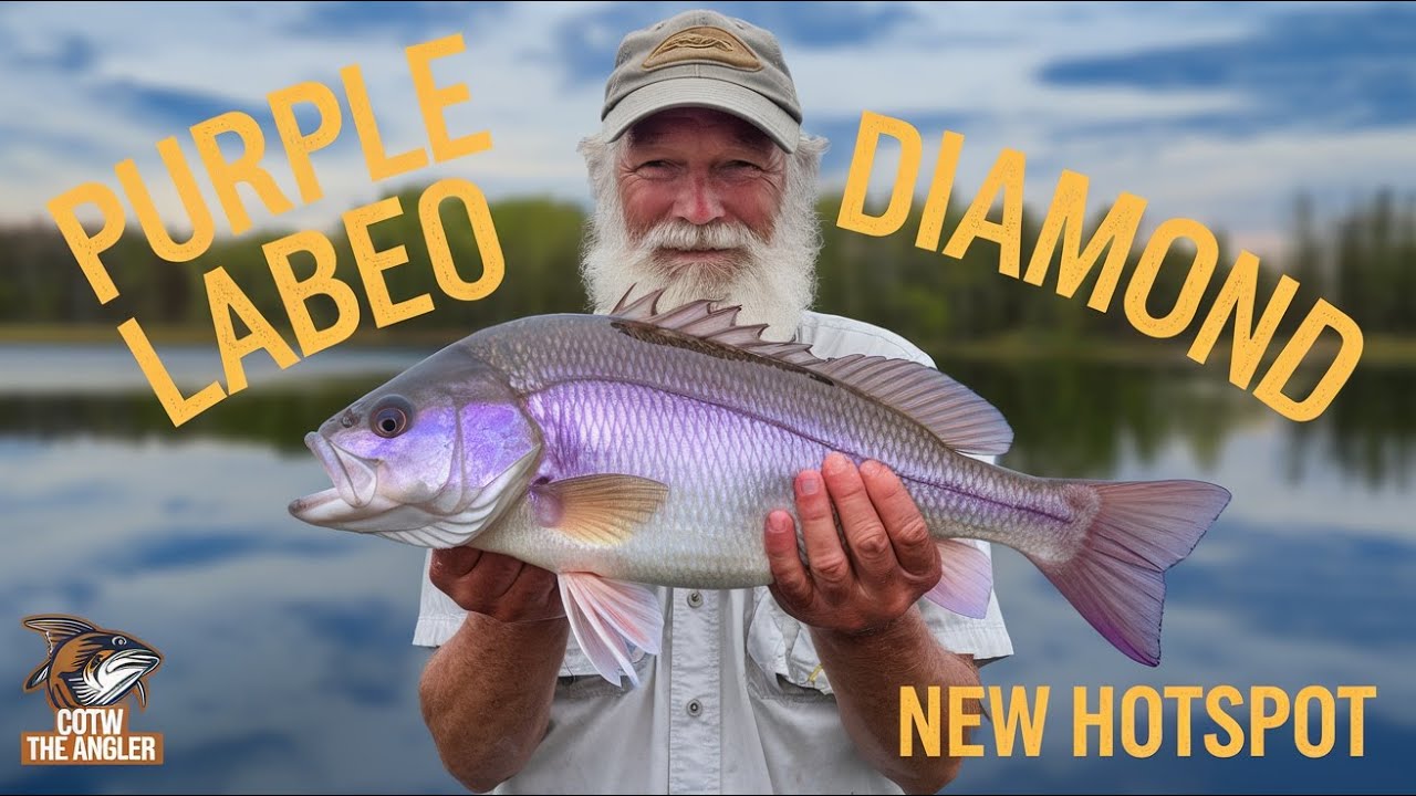 Purple Labeo Diamond - Call Of The Wild The Angler - YouTube