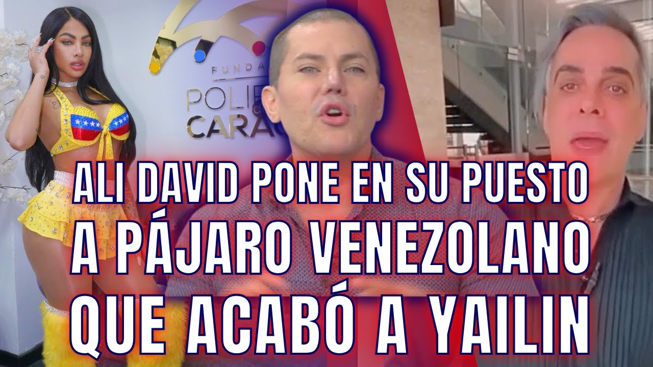 ALI DAVID PONE EN SU PUESTO A PÁJARO QUE ACABÓ A YAILIN Y PUBLICA VIDEO ...