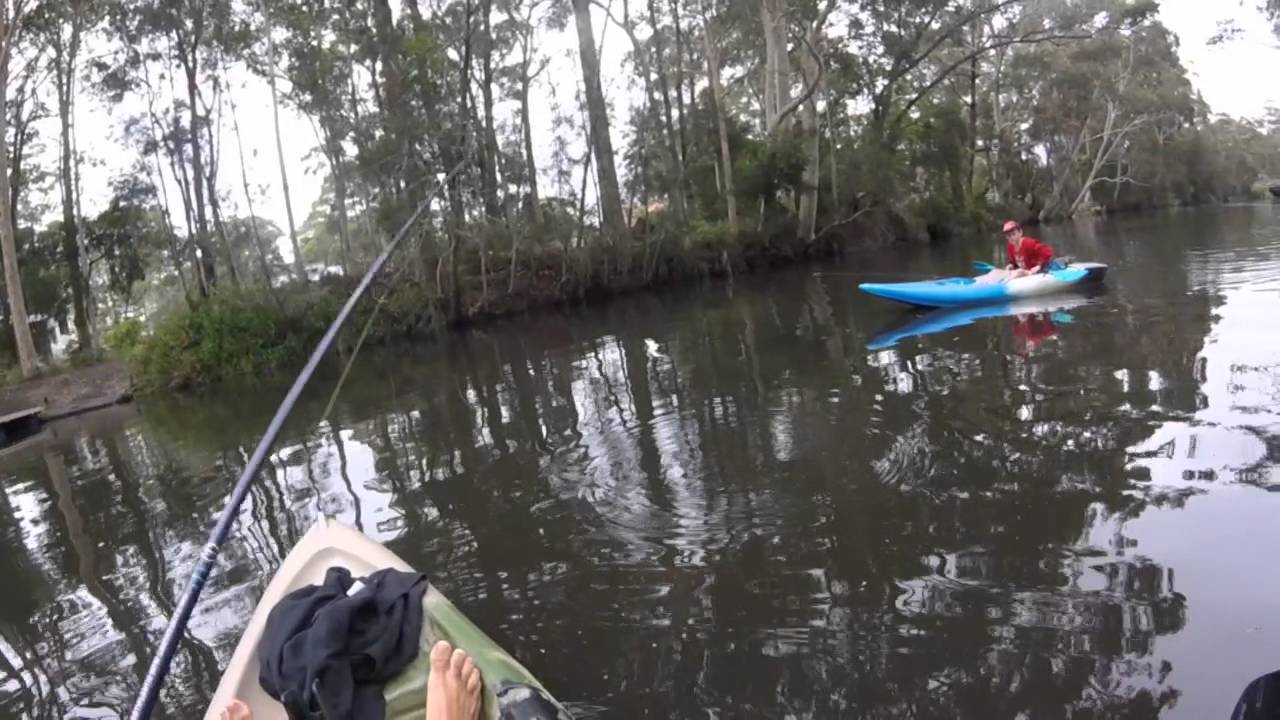 creek fishing for bream - YouTube