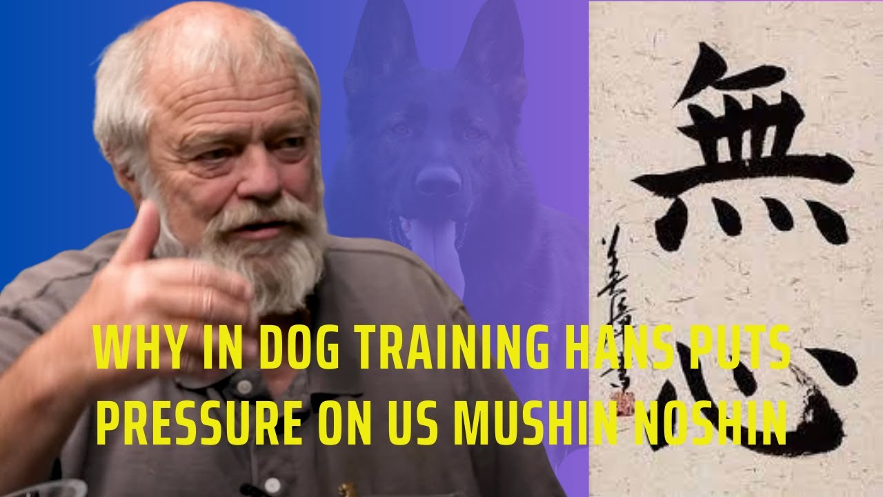 Why In Dog Training Hans Puts Pressure On Us - Mushin Noshin - YouTube