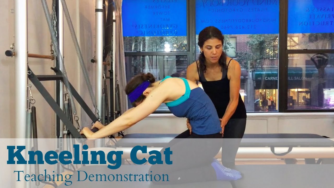 Pilates Teaching Demo - Kneeling Cat (Mind Your Body, NYC) - YouTube