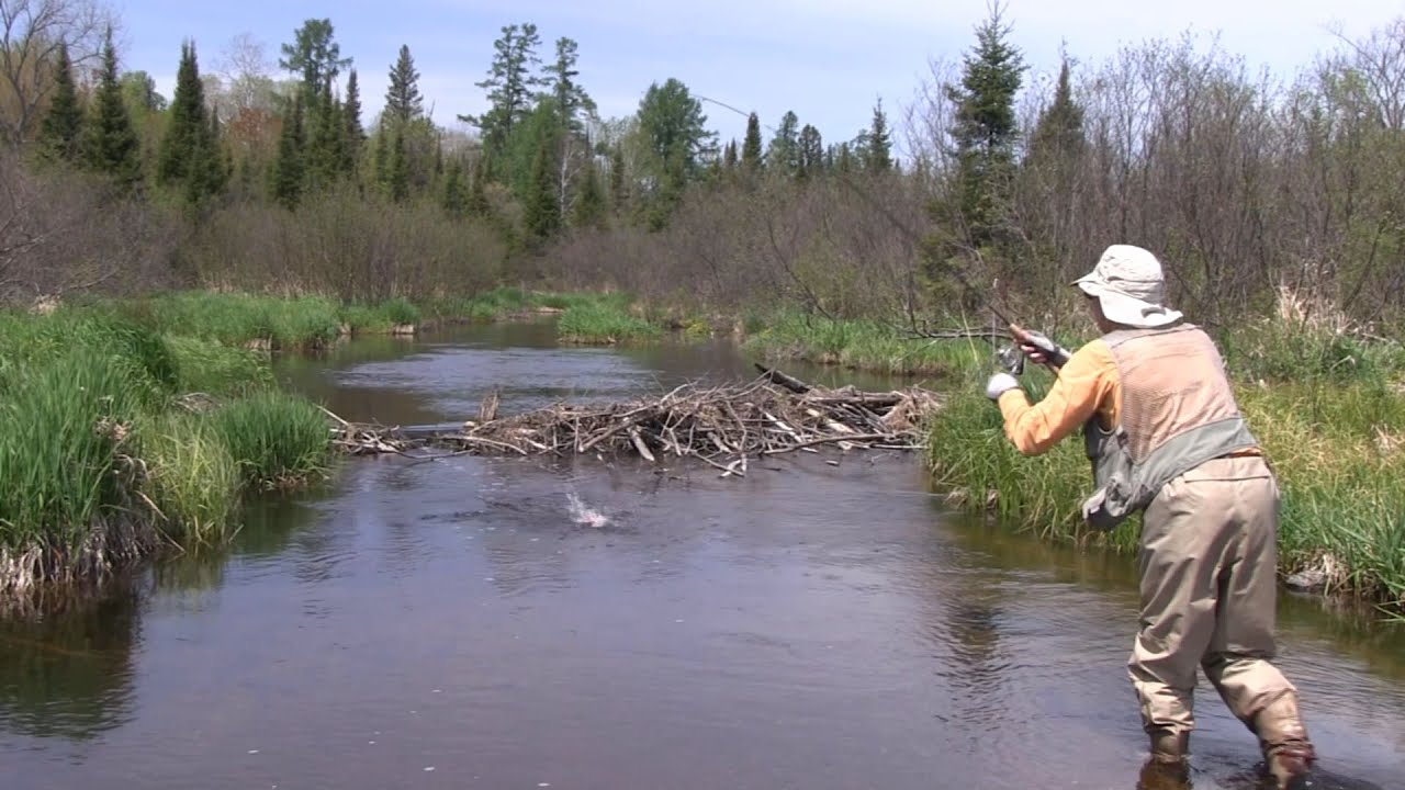 Fishing the Iron River, Michigan UP West - YouTube