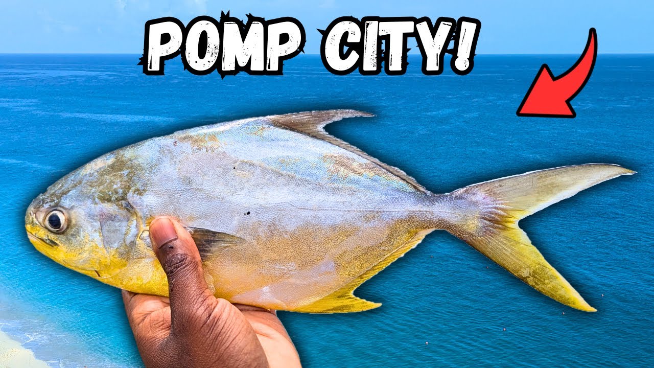 Pompano Fishing Off This LEGENDARY Florida Jetty! - YouTube