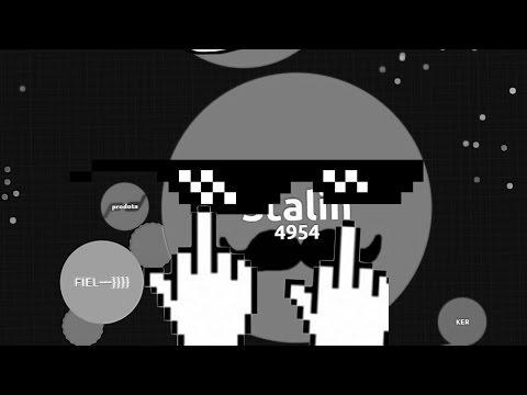 Traindo os parceiros - Agario(score8453)