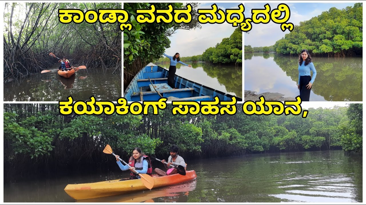 KAYAKING ADVENTURE AT SALIGRAMA | KAYAKING | TRAVEL IN MANGROVE FOREST ...