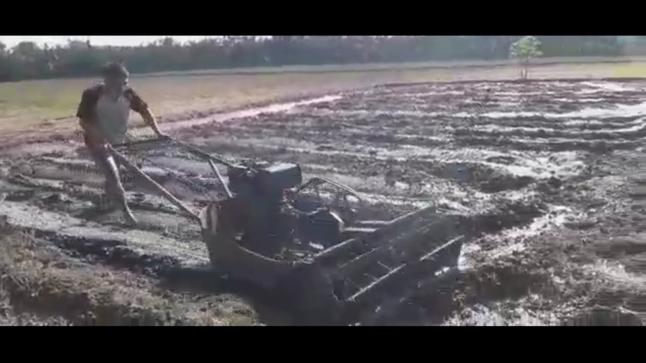 He drive his own mudboat in our rice fields | A playful pets in our ...