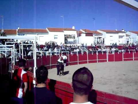 RECORTES,ARTE SERENA(EL GRAN SABAETA.BY PLATANO) - YouTube