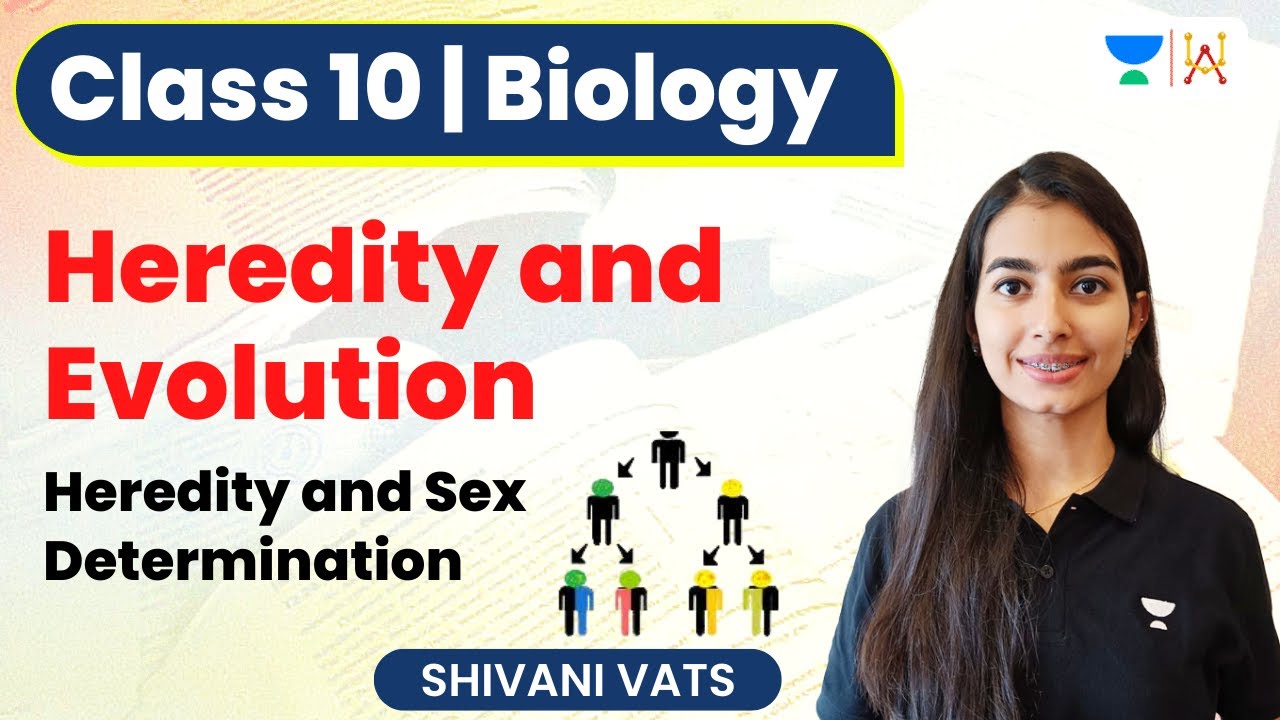 Heredity And Evolution Heredity And Sex Determination Cbse Class 10