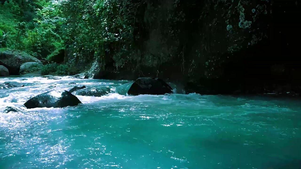 Sleep Beside the Stream – Nature’s Gentle Whisper | sleep - relax ...
