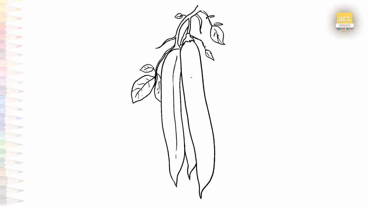 Green beans drawing easy | Vegetable drawings | How to draw Green beans ...