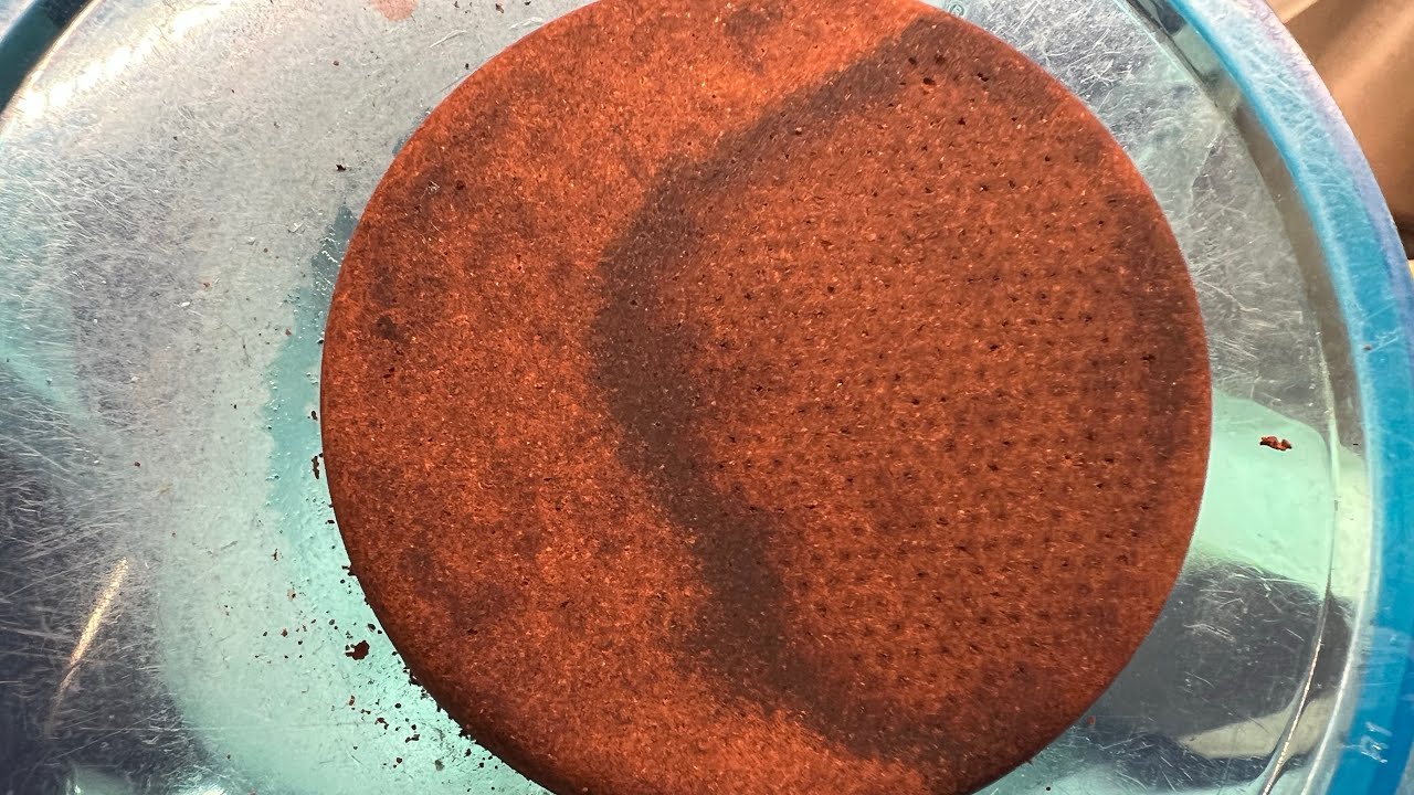 Day 13: Coffee Data Science Blog for Espresso - YouTube