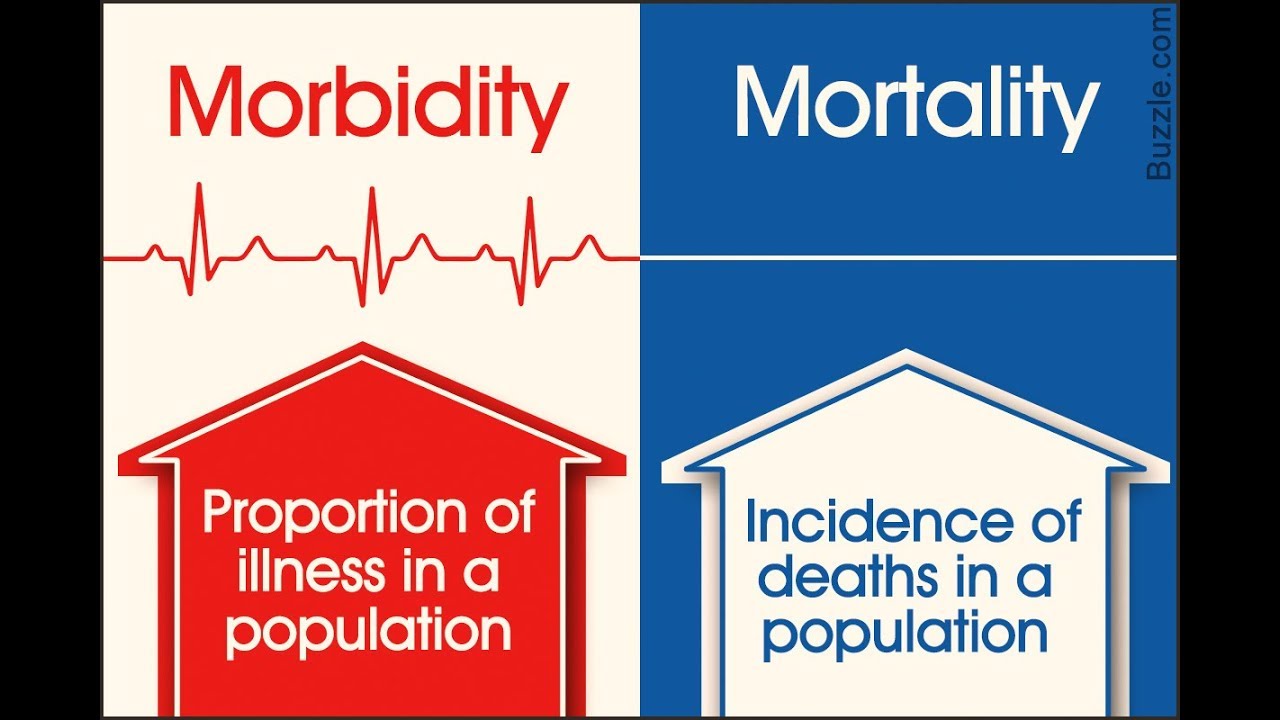 Mortality Morbidity and Life Expectancy - YouTube