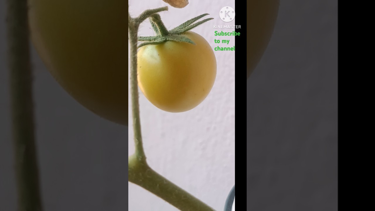 16 March 2025 - YouTube