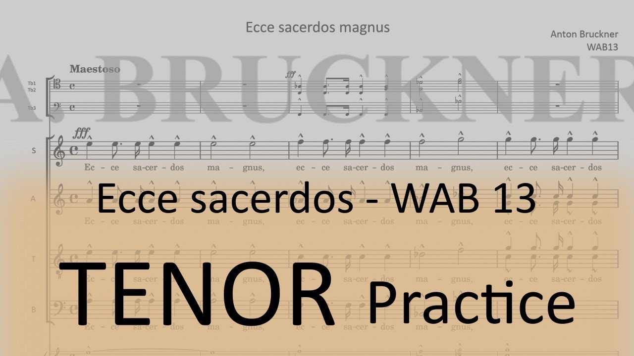 Bruckner WAB 13 (Ecce sacerdos magnus) - Tenor practice - YouTube