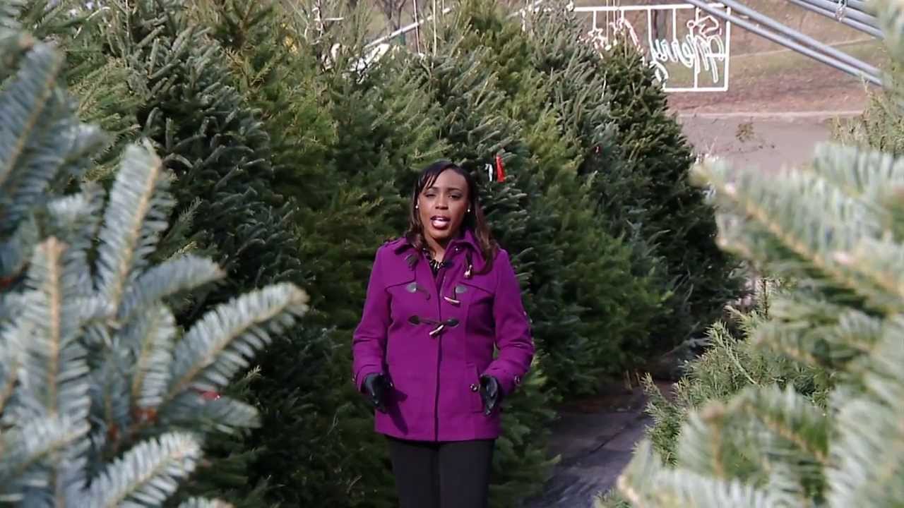 Deandre Williamson - Reporter Reel - YouTube