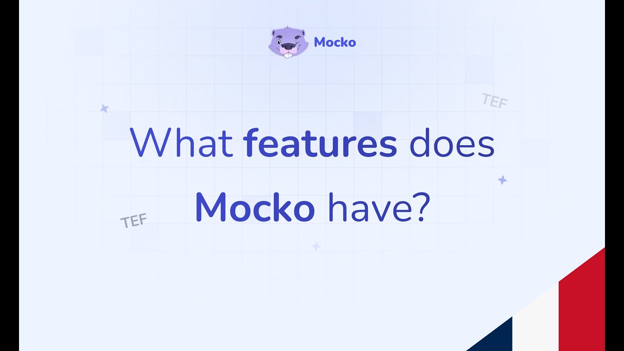 Meet Mocko: End-to-End TEF Practice (Product Demo) - YouTube