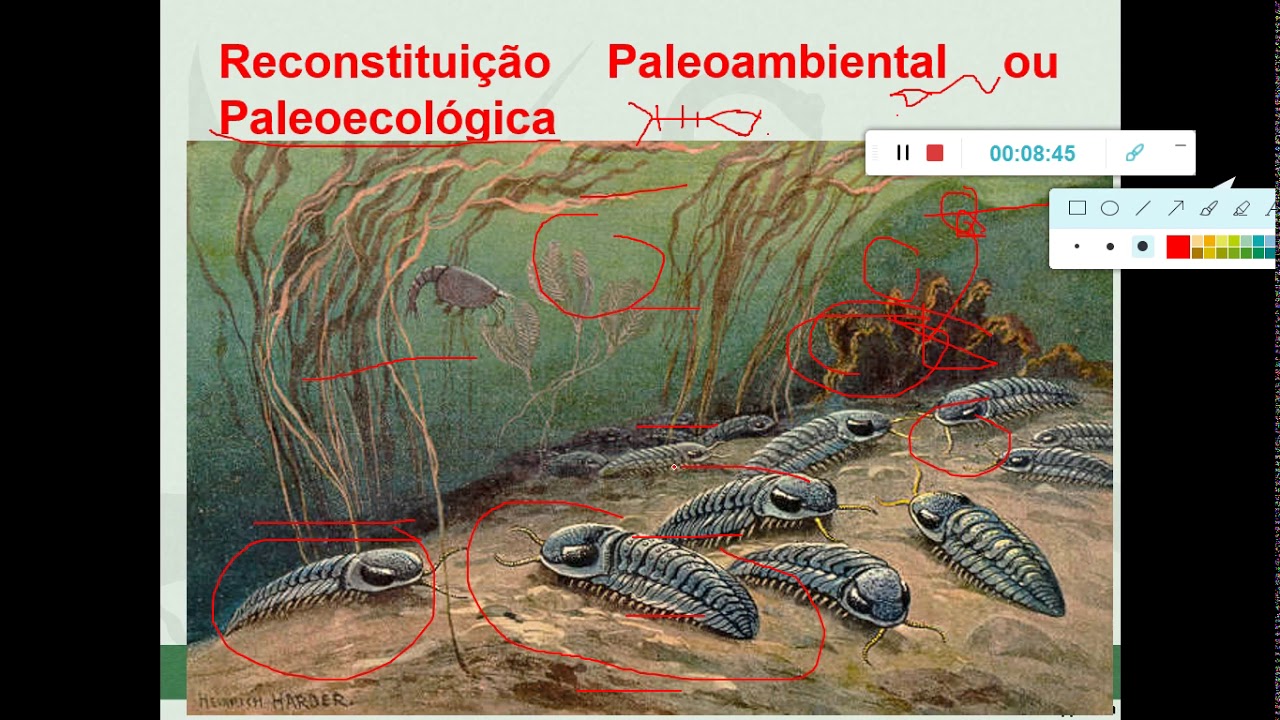 Aula Paleoecologia - YouTube