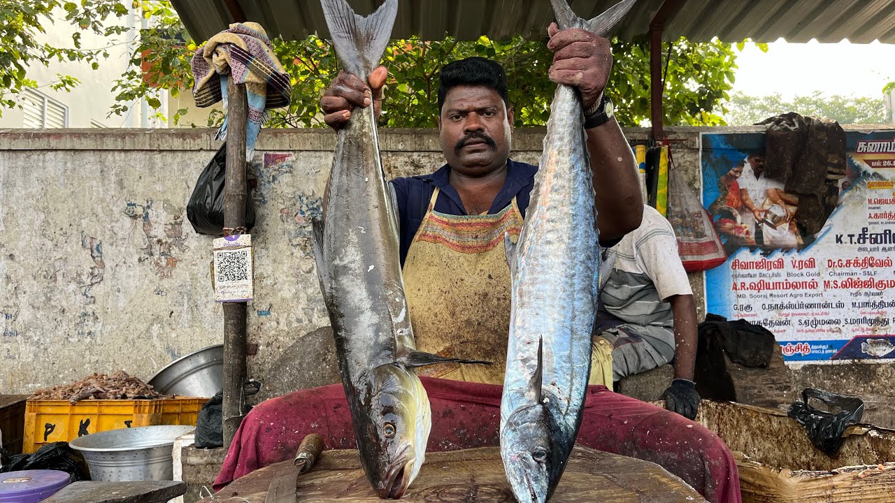 KASIMEDU SPEED SELVAM | HUGE KING SEER FISH & COBIA FISH CUTTING VIDEO ...