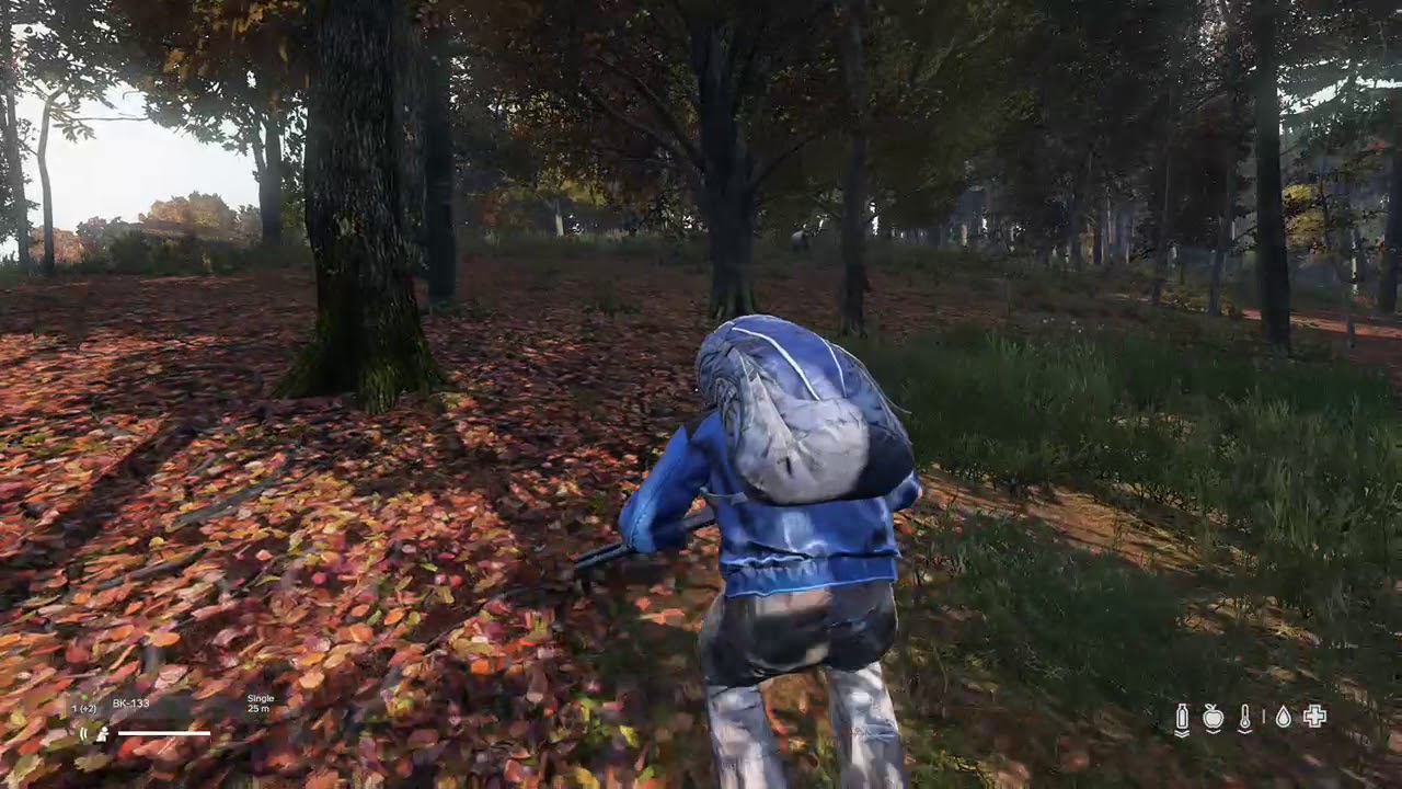 DayZ: Hunting pigs - YouTube