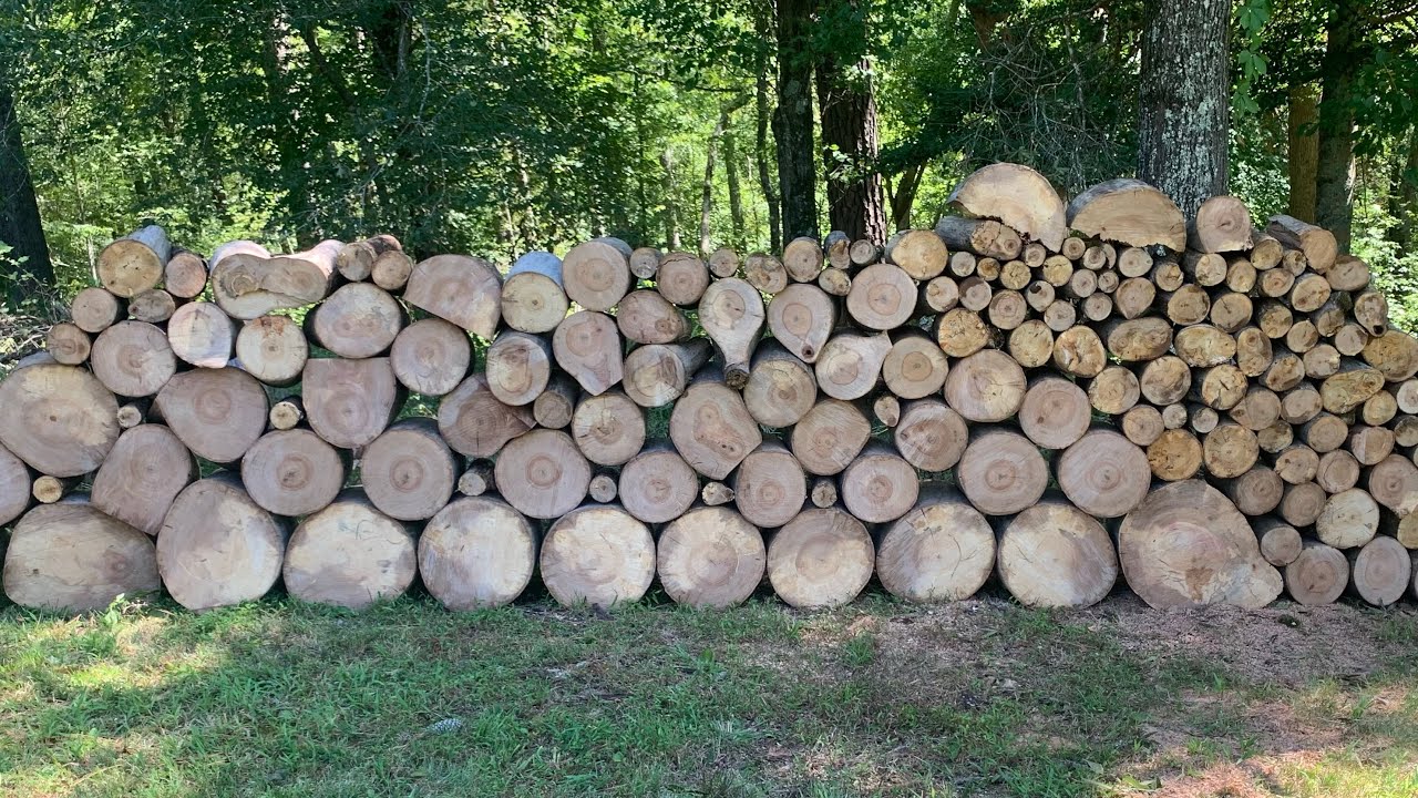 Splitting Elm with The Wolferidge 17RS Log Splitter - YouTube