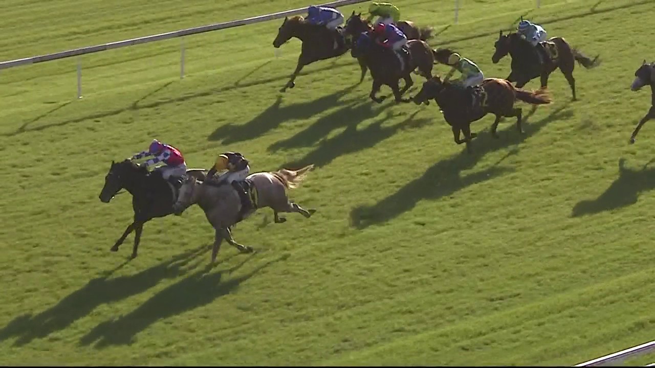 Sky Racing Update, Friday, April 21st, 2017 - YouTube