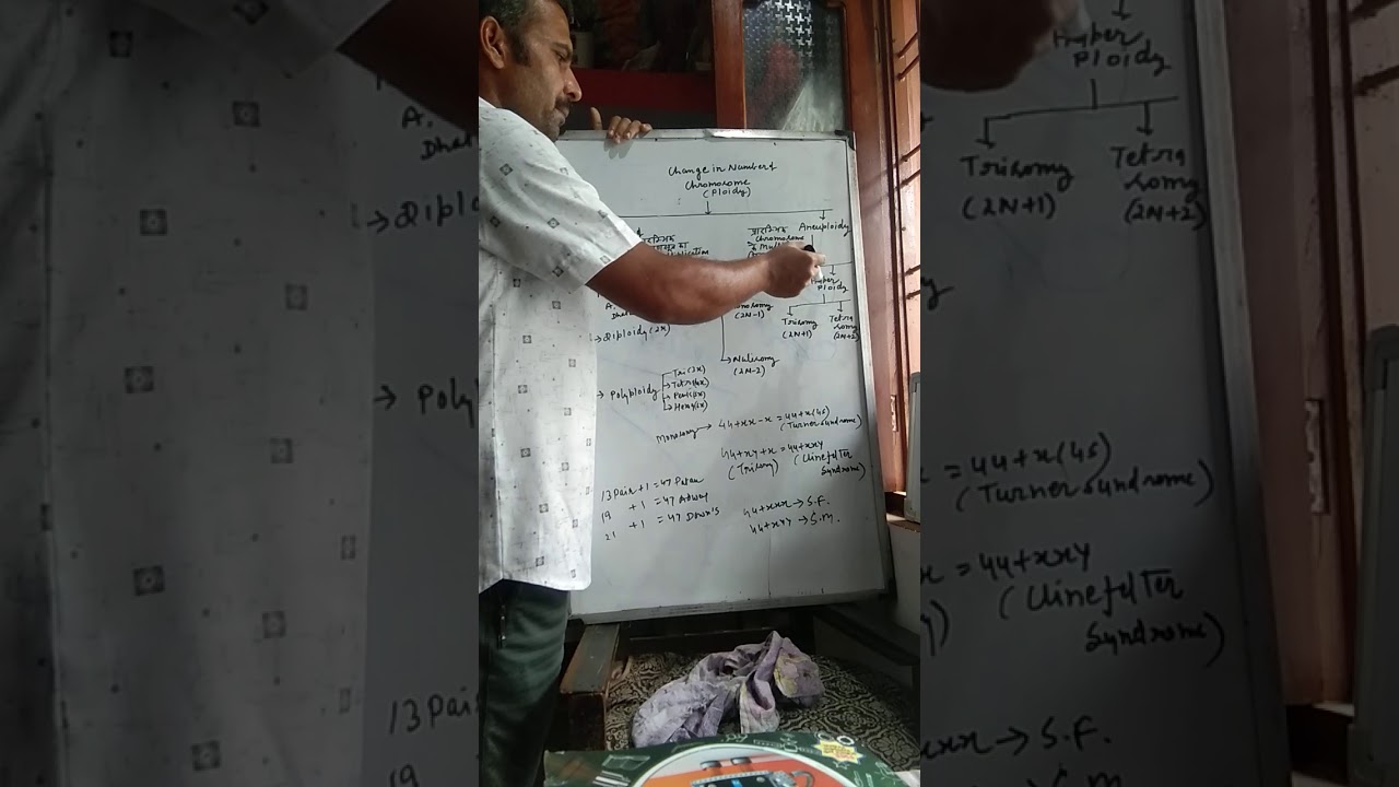 ploidy and its type - YouTube