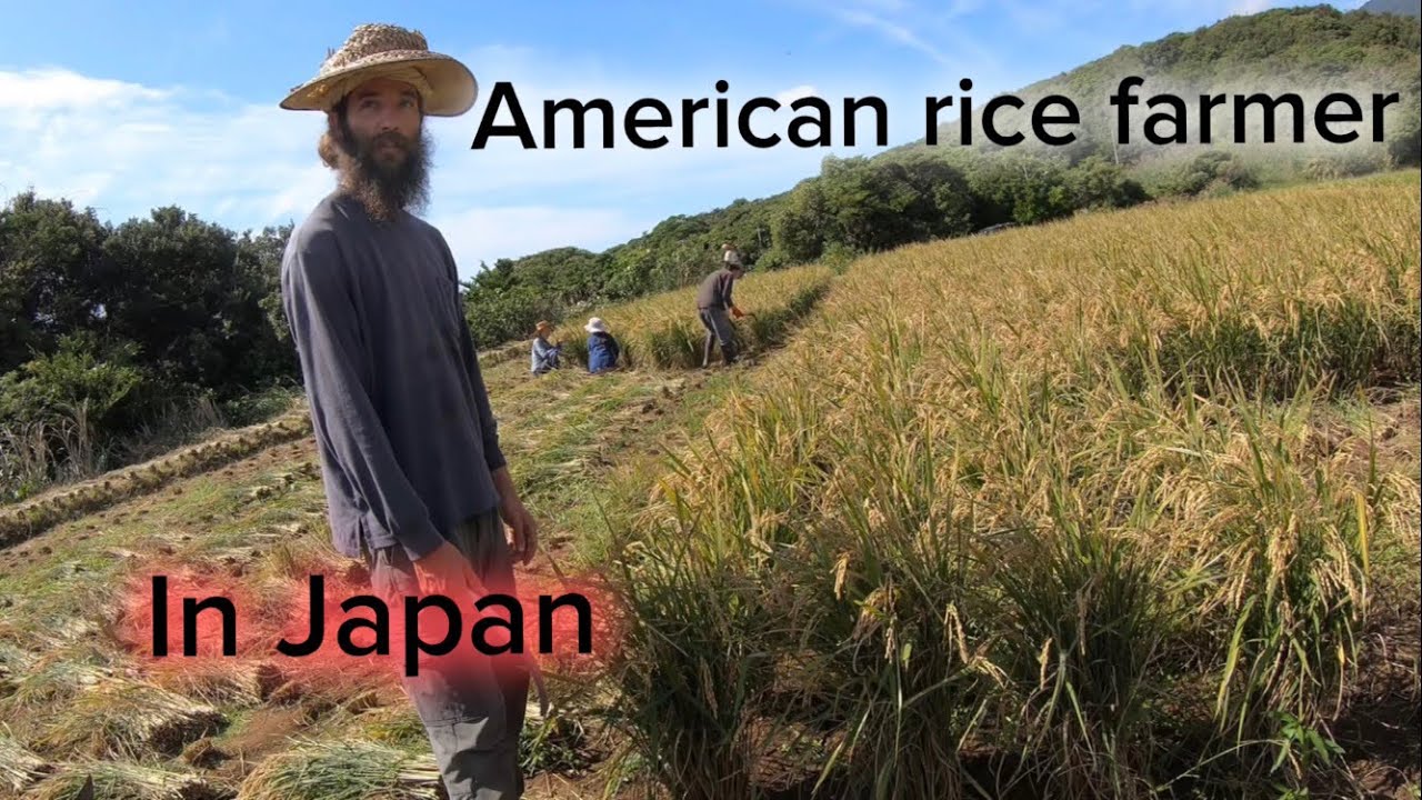A day spent rice farming on an island in Japan - YouTube