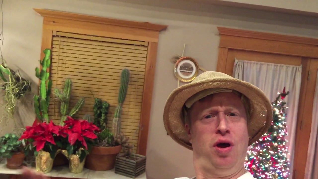 Dr. Plants' World of Plants - season 3 preview - YouTube