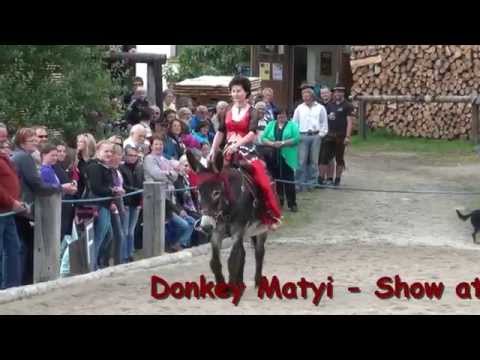 Donkey Riding Belly Dance Show