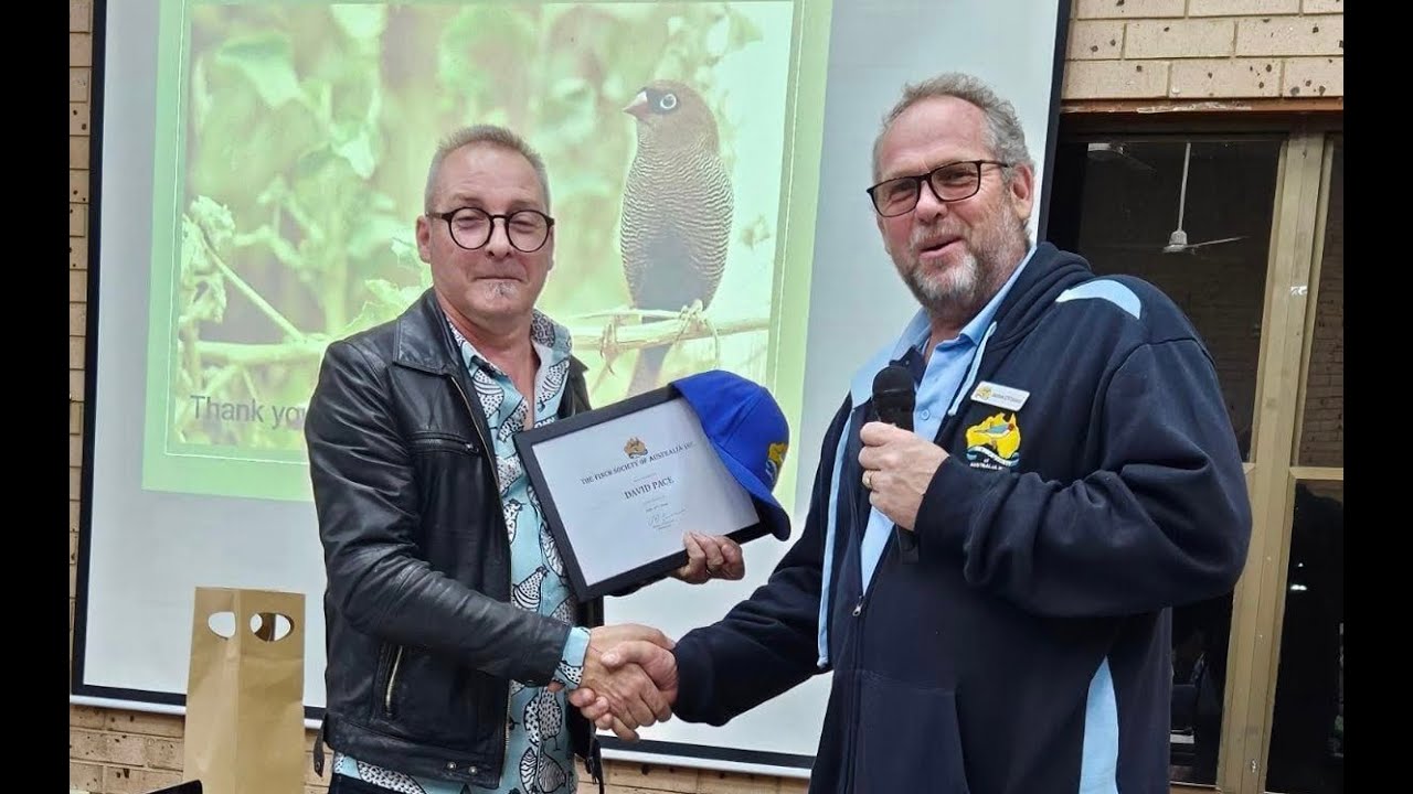 David Pace and his Four Favourite Finches - YouTube