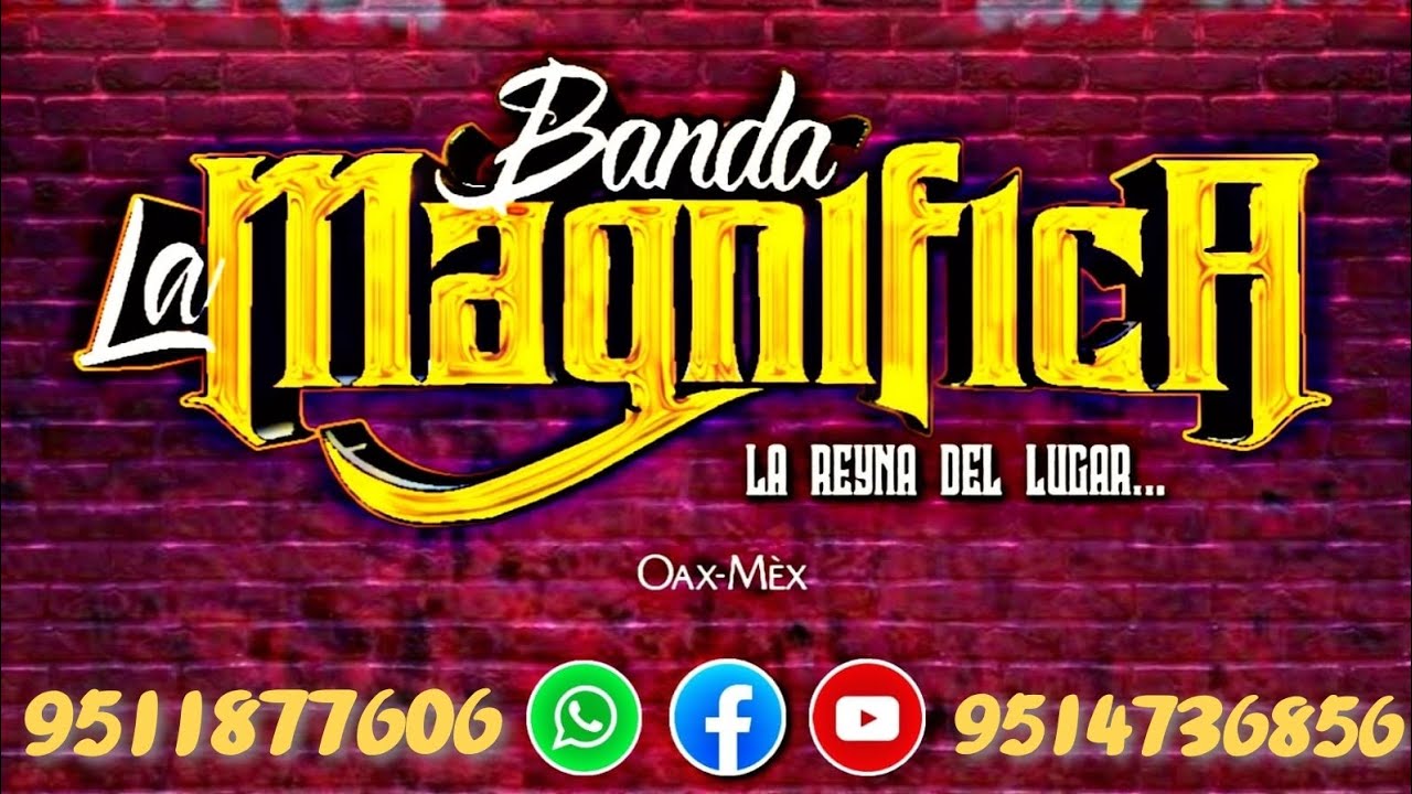 el candado y sopa de caracol banda la magnifica de oaxaca - YouTube