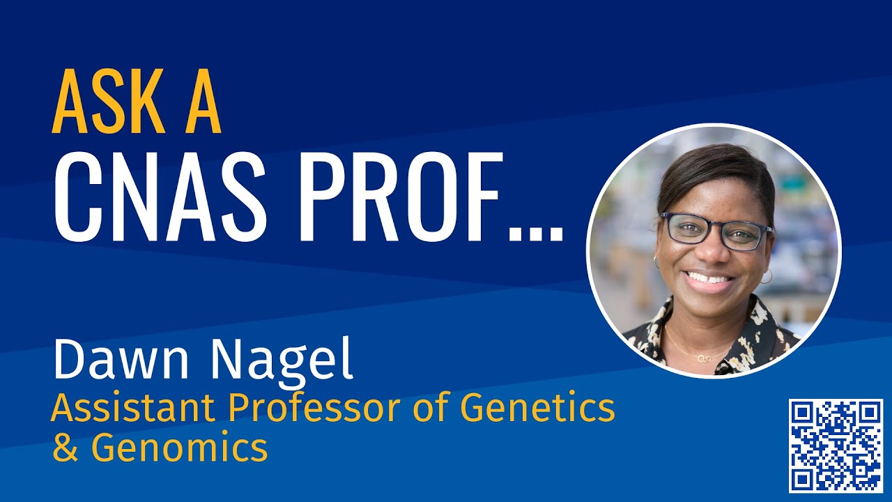Ask a CNAS Prof: Dawn Nagel, Assistant Professor of Genetics & Genomics ...