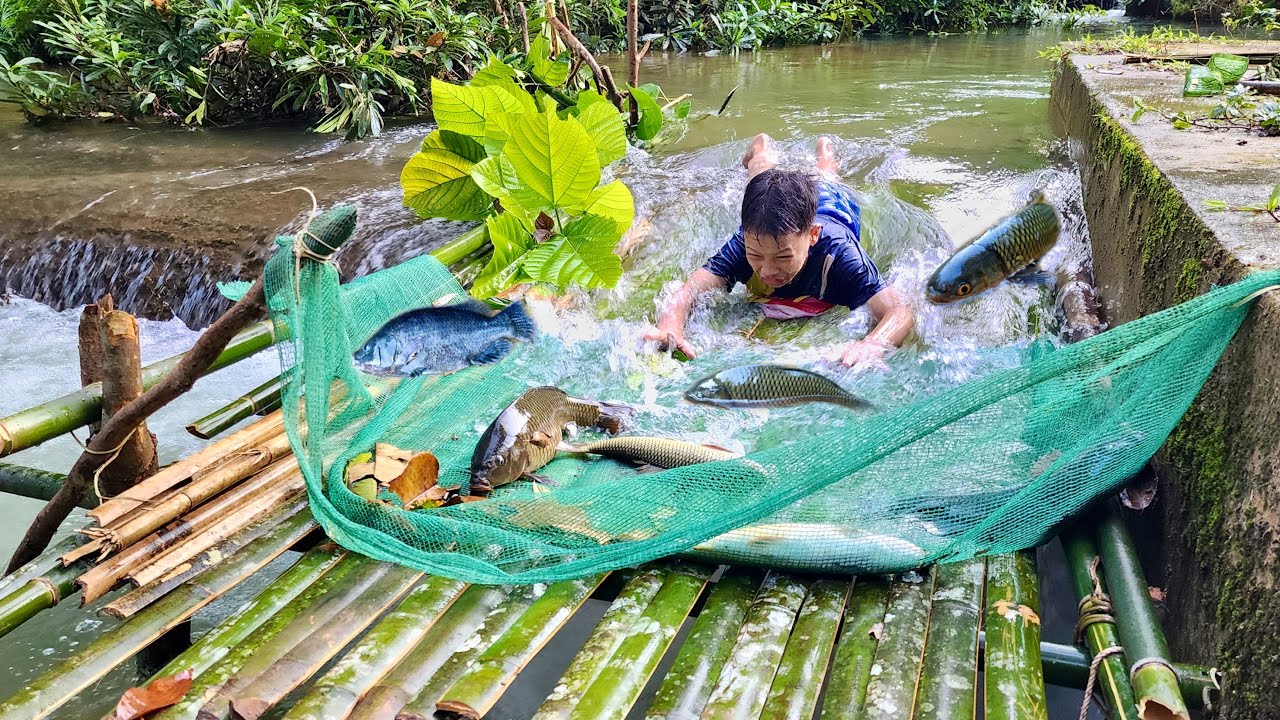 Fishing Skills, Orphan Boy Creates Ancient Trap, Catches Many Big Fish ...