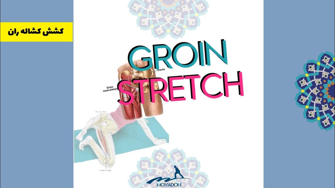 Groin Stretch 4k - YouTube