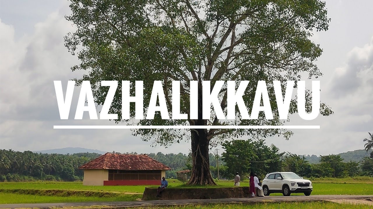 vazhalikkavu | വാഴാലിക്കാവ് അമ്പലതിലെക്ക് പോകുംവഴിയിൽ#vazhalikkav - YouTube