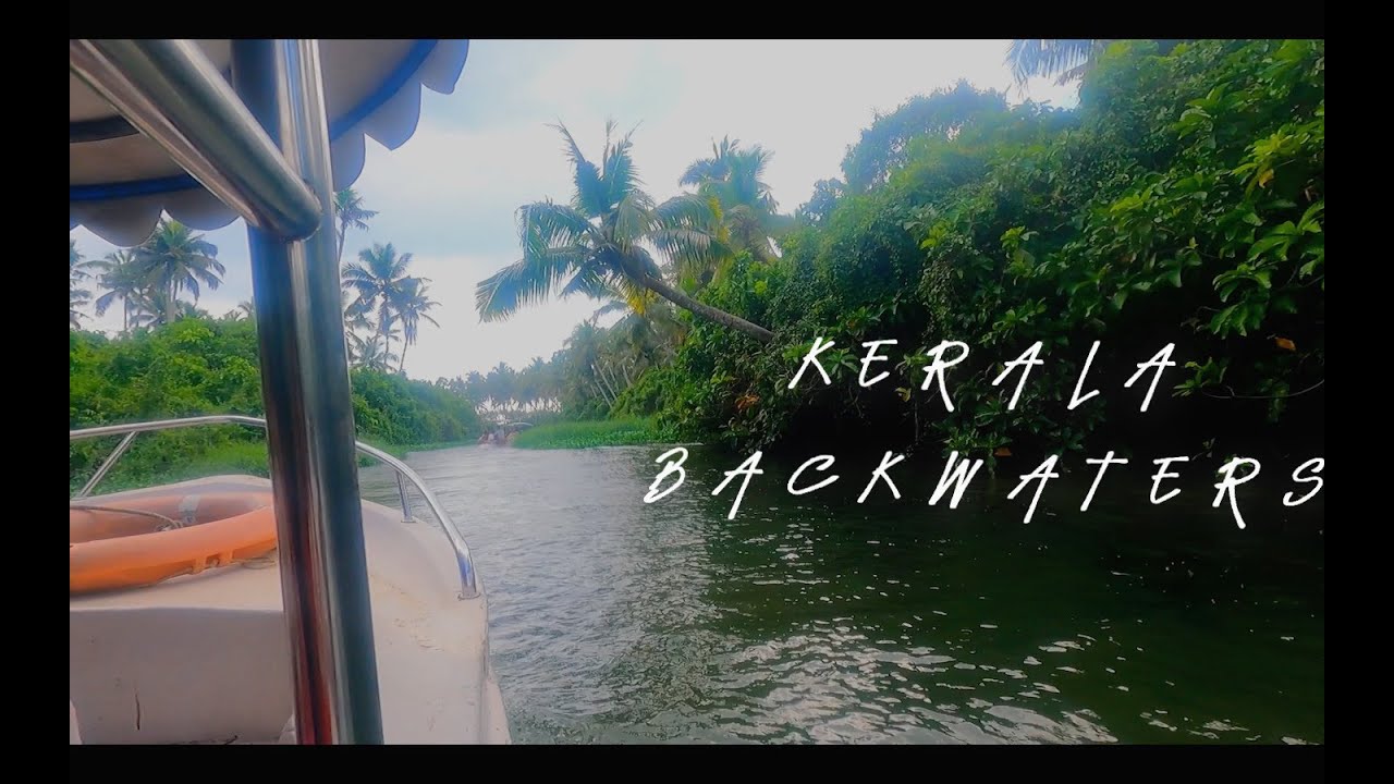 Poovar backwaters – a paradise | Mangrooves | nature lovers delight ...