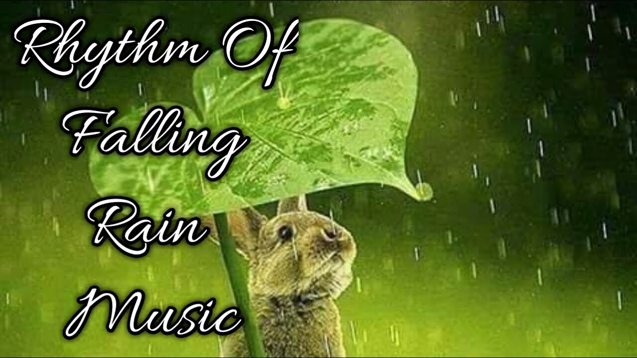 Rhythm Of Falling Rain Music - YouTube