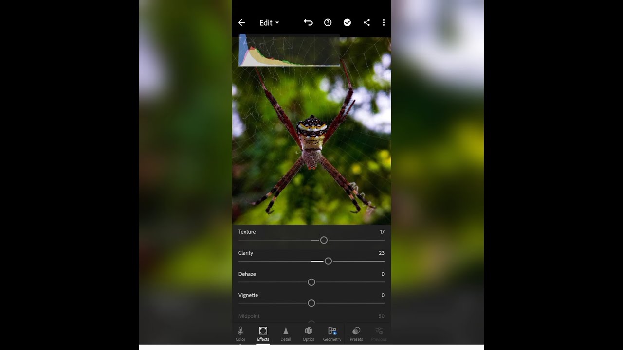 Spider photo editing || PhotographyManiac - YouTube