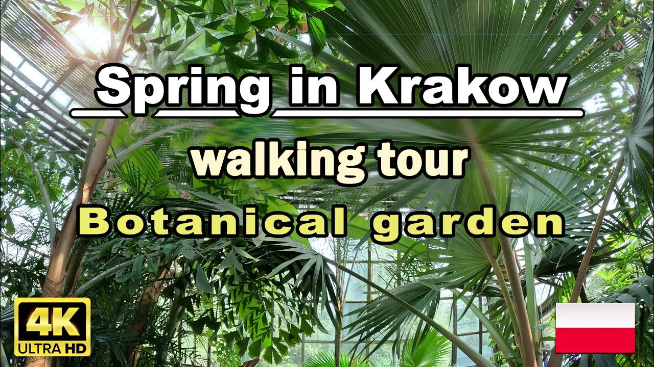 Spring in Krakow, botanical garden, jungle in the middle of Krakow ...